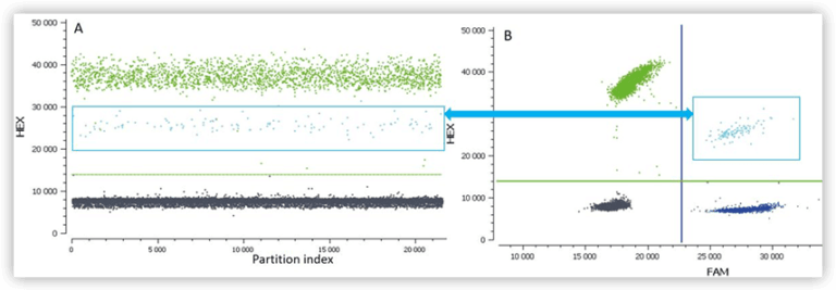 Advanced Threshold Setting for your PCR Platform | Stilla