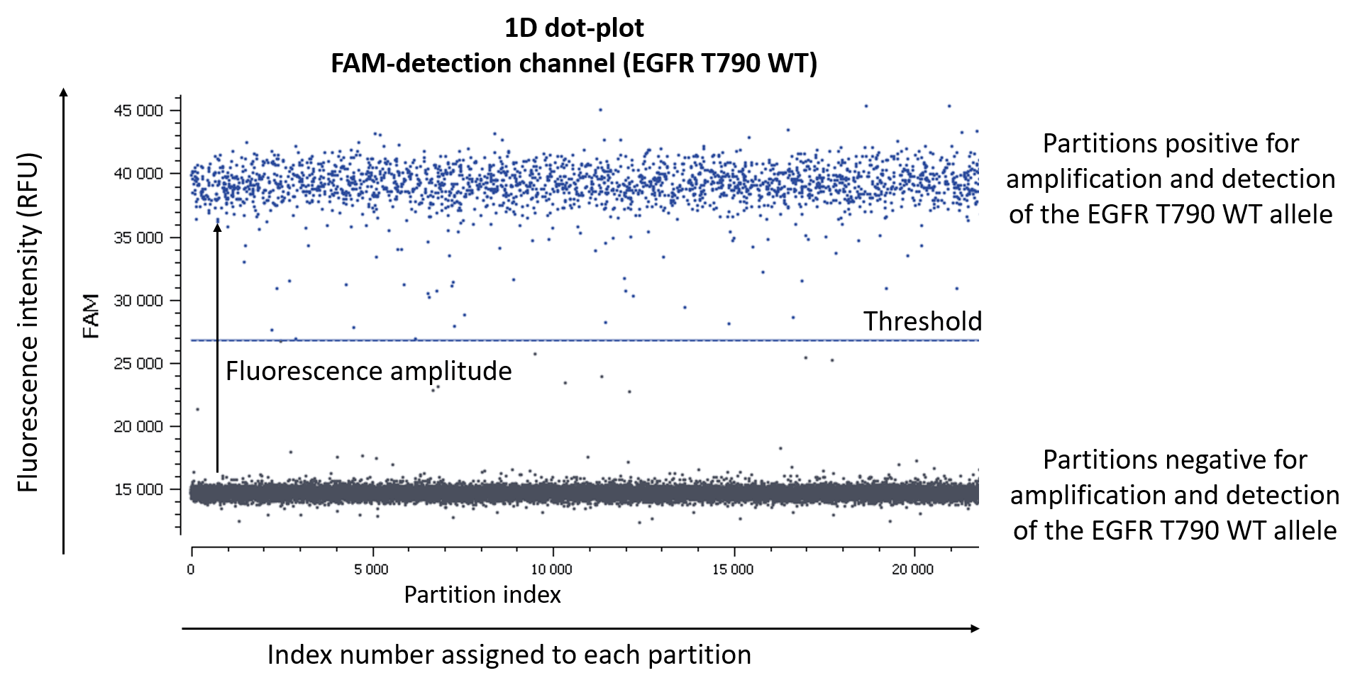 Rare Mutation Detection Digital PCR Tutorial | Stilla