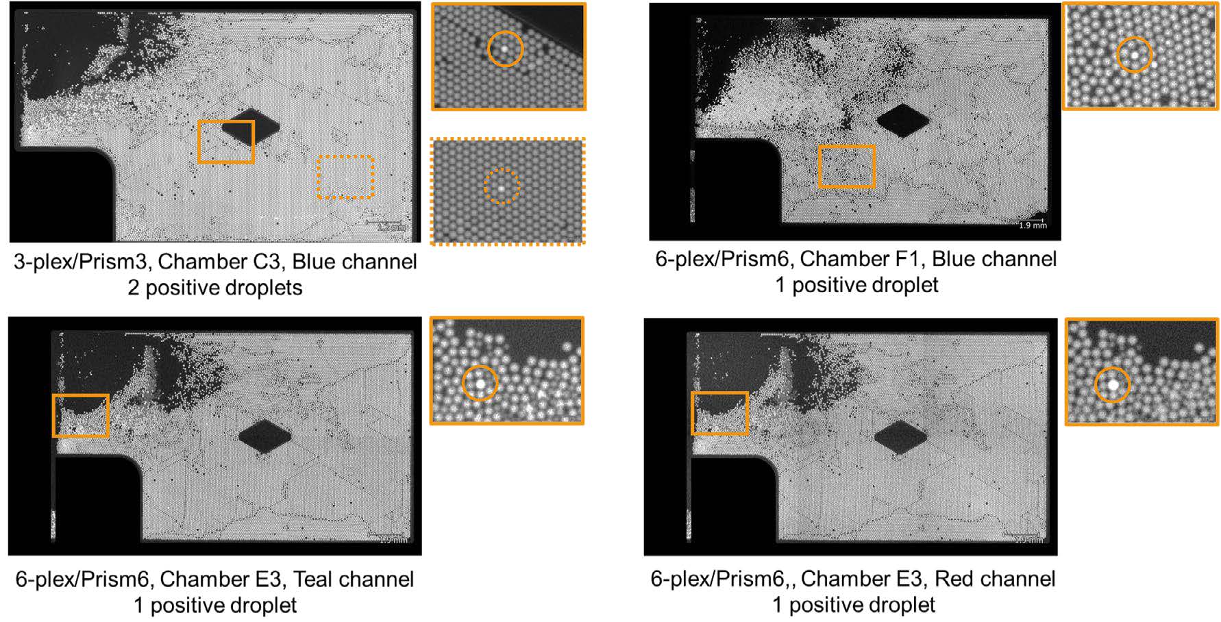 Ruby Chip — high quality Crystal Digital PCR™ consumable prevents PCR ...