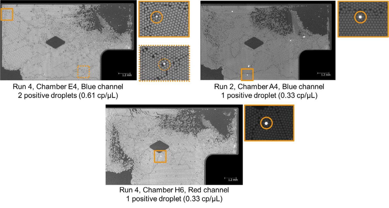 Ruby Chip — high quality Crystal Digital PCR™ consumable prevents PCR ...