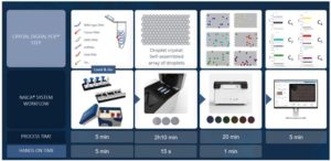 A streamlined workflow for liquid biopsy sample extraction and highplex Crystal Digital PCR ...